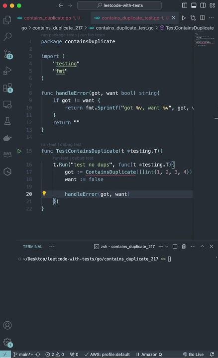 contains duplicate 217 golang short youtube