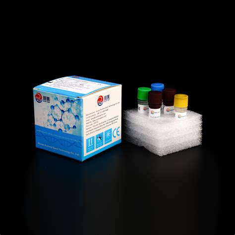Ivd Reagents Rt Pcr Hpv Human Papilloma Virus Genotyping Detection Kit