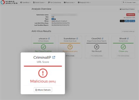 Criminal Ip Api Integration Cases Hybrid Analysis