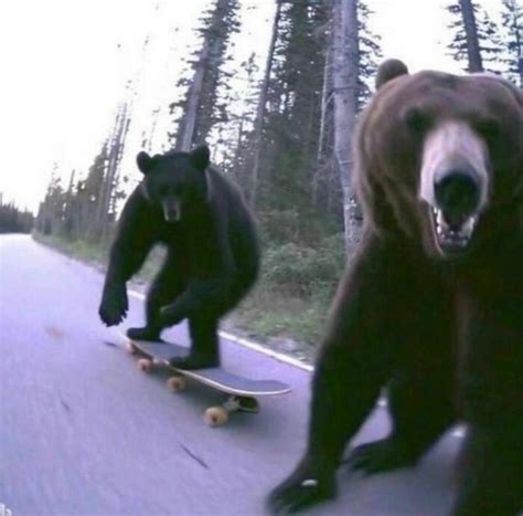 30 Random Images That Are Too Hard To Ignore As Shared On This