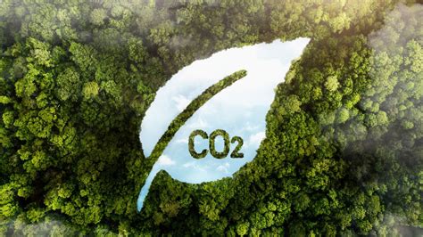 Carbon Market The Difference Between Carbon Credit And Carbon Offset