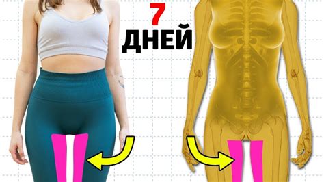 Как Сделать ПРОСВЕТ МЕЖДУ НОГ и Убрать Жир с ВНУТРЕННИХ БЕДЕР - YouTube