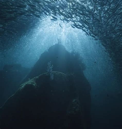 Marine Protected Areas Ocean Central