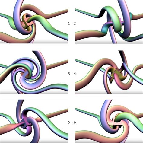 The Particle Rotation For A Free And Moving Lepton Can Be Visualized