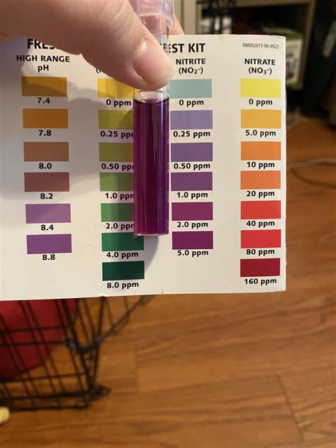Fishless Cycle Raquariums