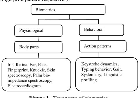 Figure 1 From State Of The Art In Biometric Key Binding And Key Generation Schemes Semantic