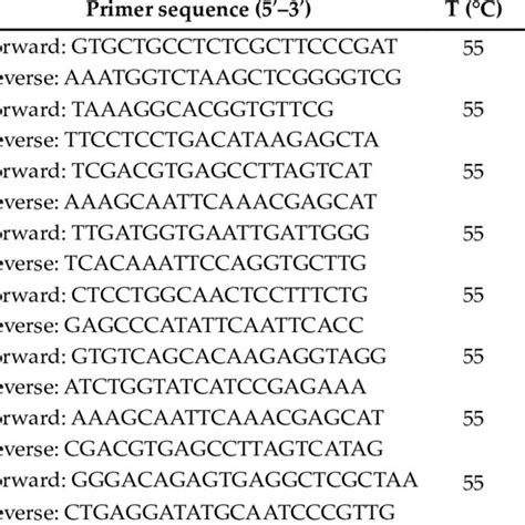 Primer Sequences Of Eight Sex Linked Markers Isolated From Amolops Download Scientific Diagram