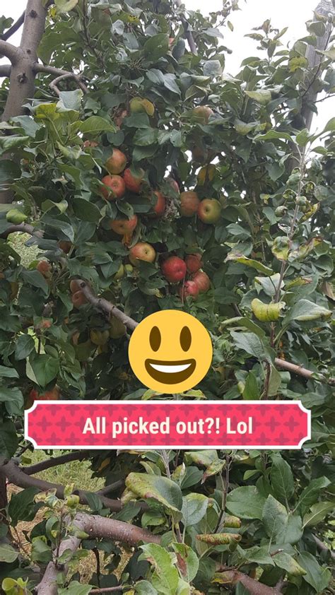 Melissa Roach Melissaroach19 Twitter