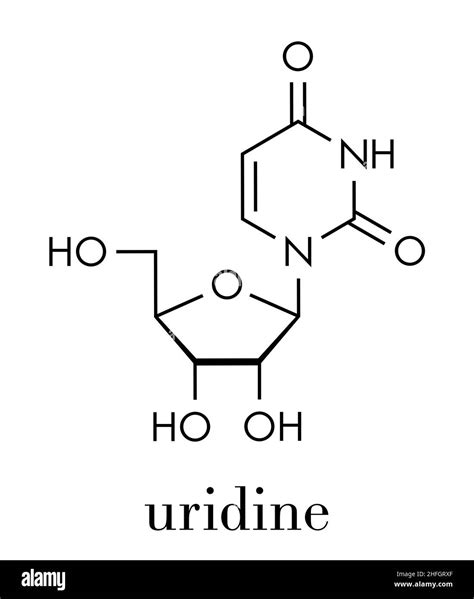 Uridine Nucleoside Molecule Building Block Of Rna Skeletal Formula