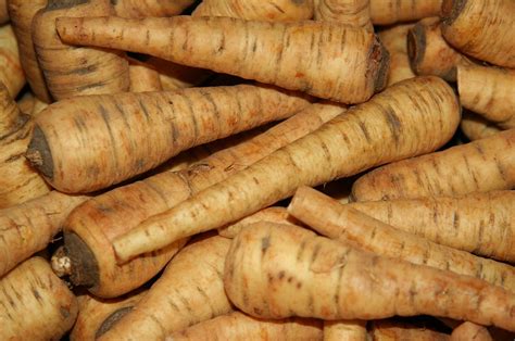 Parsnip Harris Model — Seeds Trust