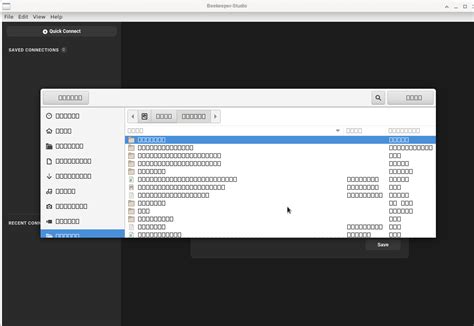 Troubleshooting Beekeeper Studio Documentation