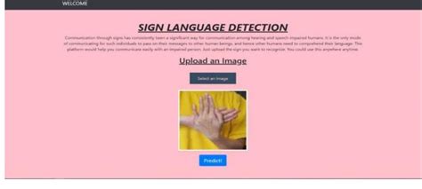 Figure 2 Sign Language Detection
