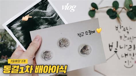 시험관 브이로그 Ep18 동결1차 배아이식 작고 소중해 👼🏻 3일배양 냉동배아 3개 Youtube