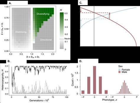 Genetic And Phenotypic Variation In A Polygenic Model Of Sexual Download Scientific Diagram