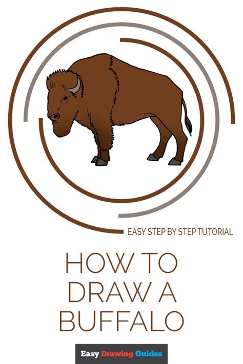 How To Draw A Buffalo Step By Step Tutorial