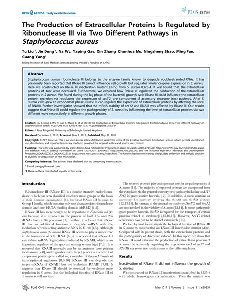Pdf The Production Of Extracellular Proteins Is Regulated By Ribonuclease Iii Via Two