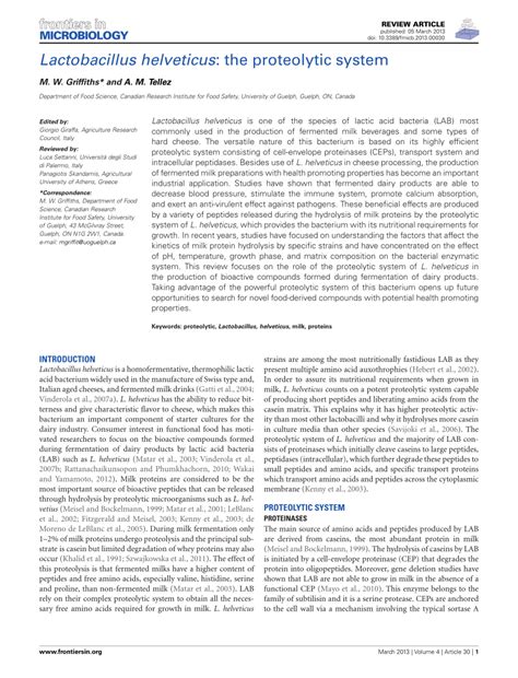 Pdf Lactobacillus Helveticus The Proteolytic System
