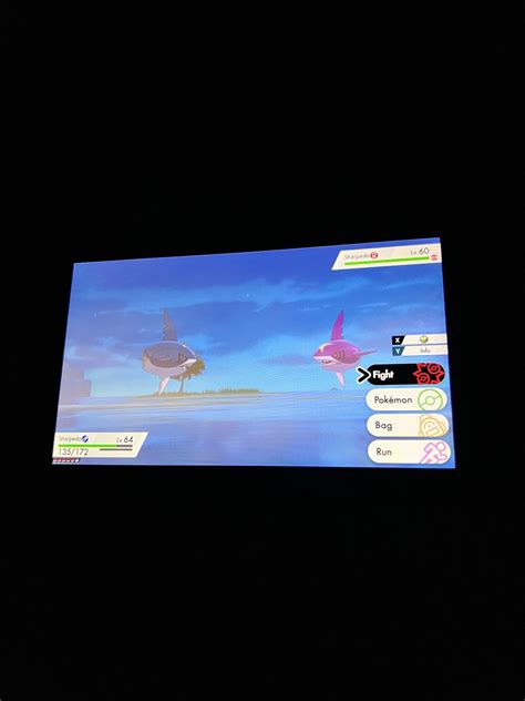 8 A Wild Shiny Sharpedo Appeared Rshinypokemon