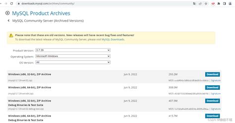 Windows下安装mysql5739步骤mysql 5739 Winx64 安装 Csdn博客