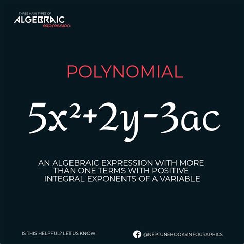 Polynomial Algebraic Expressions Polynomials Expressions