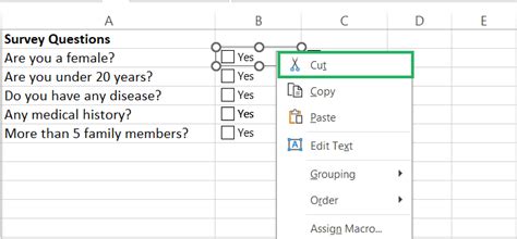How To Remove A Checkbox In Excel Easy Method Spreadsheeto
