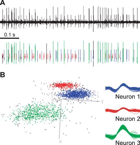 Example Of A Spike Sorting Procedure With Three Telemetrically Recorded