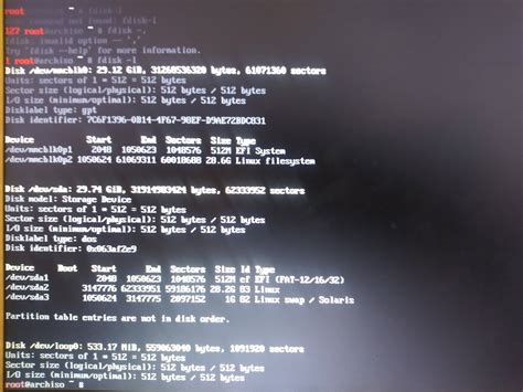 How Do I Create Arch Linux Partitions If Fdisk Says They Re Busy Unix Linux Stack Exchange