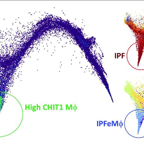 Umap Uniform Manifold Approximation And Projection Clustering Of Download Scientific