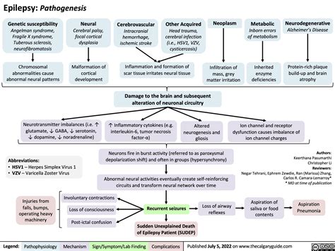 Epilepsy Pathogenesis Calgary Guidecalgary Guide