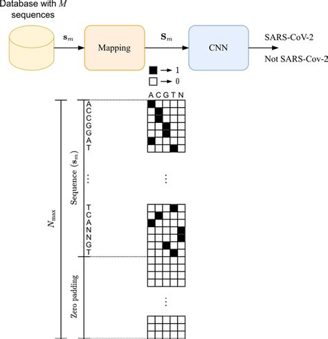 Overview Of The Proposed Technique Download Scientific Diagram