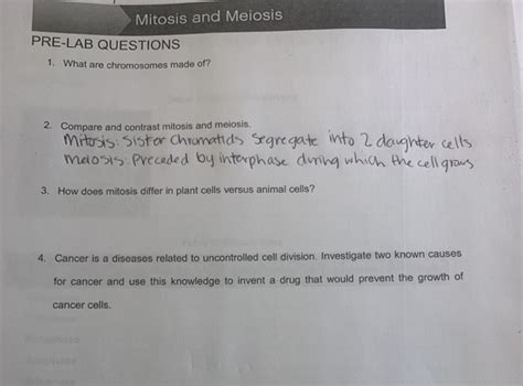 Solved Mitosis And Meiosis Pre Lab Questions 1 What Are