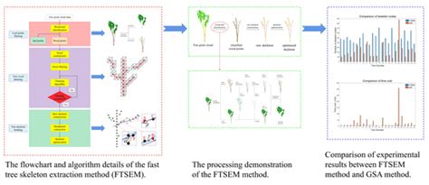 Remote Sensing Special Issue Applications Of Individual Tree Detection ITD