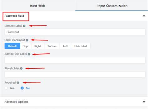 password input field in wp fluent form wordpress plugin