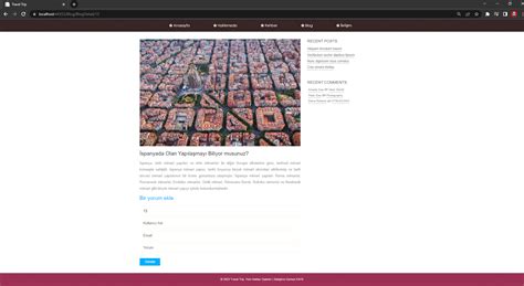 Github Mserkankayaaspnet Mvc5 Tatil Seyahat Blogu