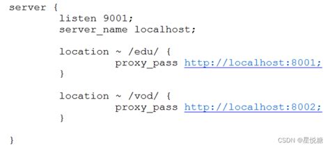 nginx 反向代理和负载均衡 nignx 代理到127 0 0 1 csdn博客