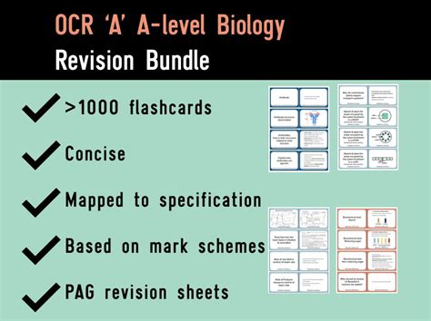 Ultimate OCR A A Level Biology Revision Bundle Teaching Resources