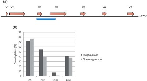 Bisulphite Sequencing Of Part Of The 18s Rdna In Ginkgo Biloba And