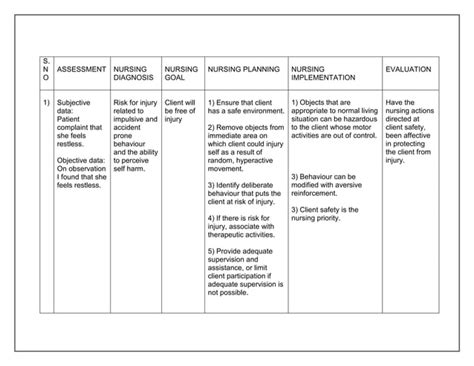 Care Plan2 Docx Mental Health Nursing Ppt