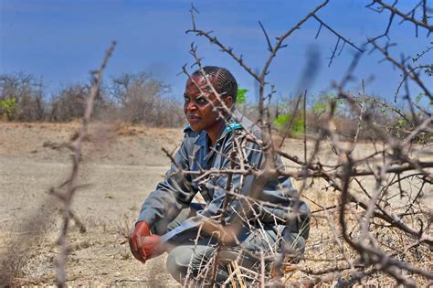 ‘i Have Crossed That River Of Fear Tinyiko Golele A Regional Ranger In Shingwedzi In The