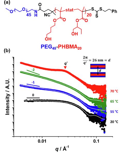 A Chemical Structure Of The Peg 45 Phbma 20 Diblock Copolymer B