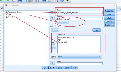 Cox Regression Analysis In Spss Explained Performing Writing
