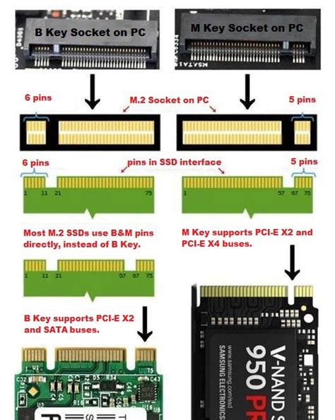 Nvme Vs M2 Bus Interface And Protocol Minitool Partition Wizard Nvme Vs M2 Bus Interface And Protocol Minitool Partition Wizard
