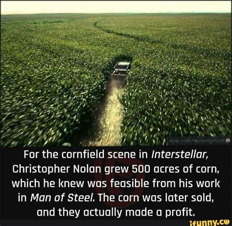For The Cornfield Scene In Interstellar Christopher Nolan Grew 500 Acres Of Corn Which He Knew