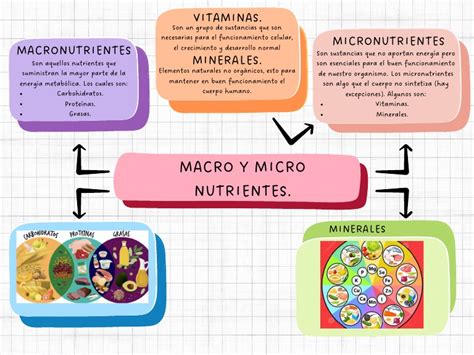 Macro Y Micro Nutrientes Pdf