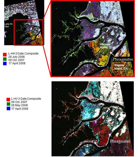 Improving Wetland Characterization With Multi Sensor Multi Temporal Sar And Opticalinfrared