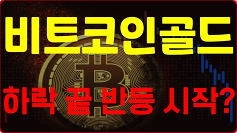 비트코인골드 코인 📉 하락 끝 📈 반등 시작 비트코인골드코인목표가 비트코인골드코인전망 비트코인골드코인 Youtube