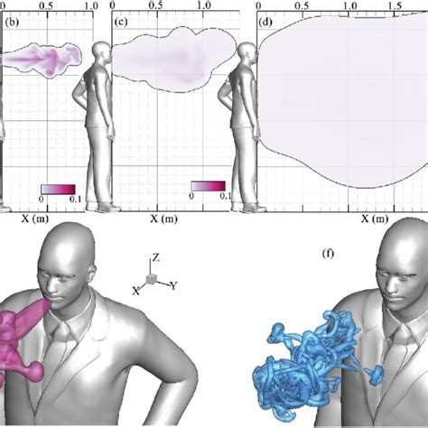 Simulated Evolution Of The 10 μm Saliva Particulate Concentration