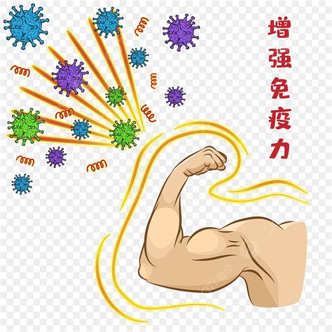 Improving Immunity Vector Png Vector Psd And Clipart With