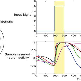 Fading Temporal Memory In Recurrent Neurons Of Dynamic Reservoir The Download Scientific