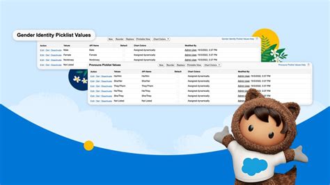 salesforce products get more inclusive with new gender identity and